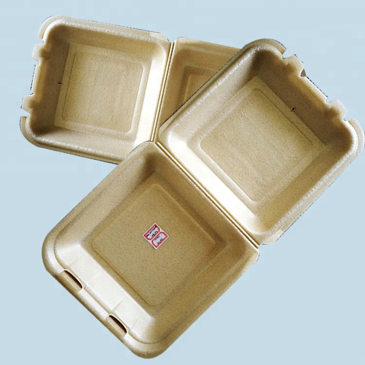 Disposable pla food foam container | Food Container Manufacturer