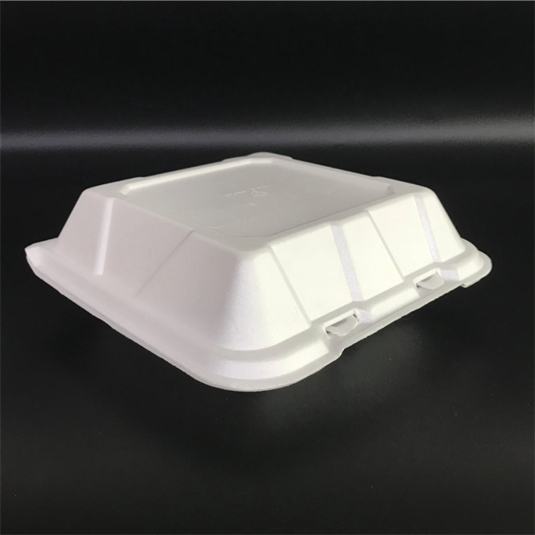 Food grade disposable foam food container | Food Container Manufacturer